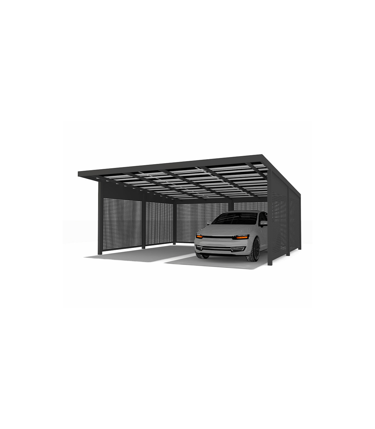 Carport - parcare pentru 2 masini C4